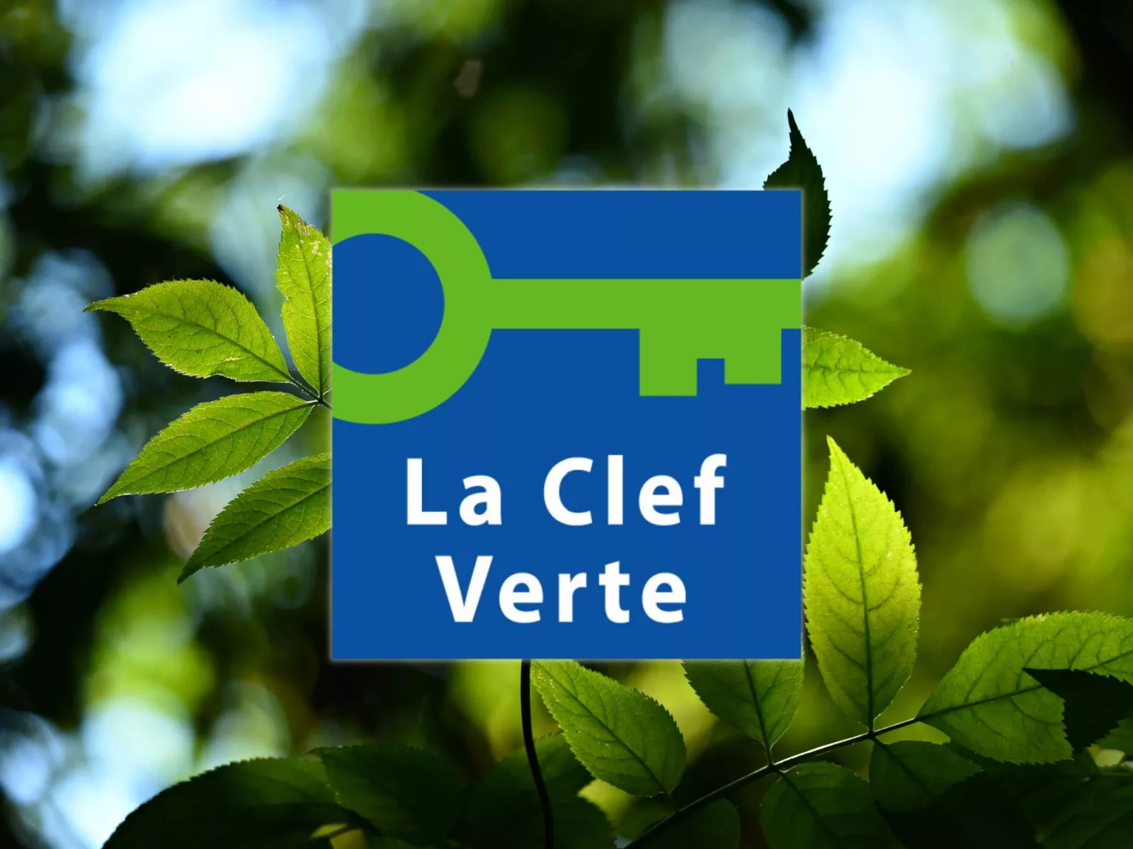 Développement durable et attractivité : Le label Clef Verte pour les ...